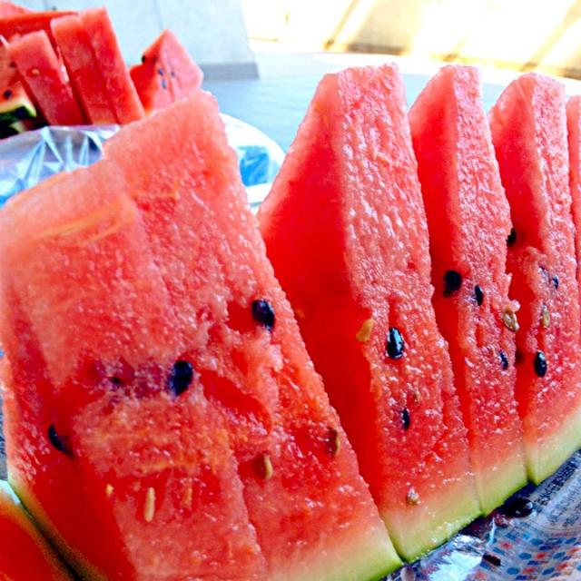 Watermelon超特大スイカ/Minia♥️ | Snapdish[スナップディッシュ]