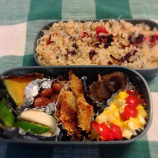Wednesday Jimmy Bento/koko | Snapdish[スナップディッシュ]