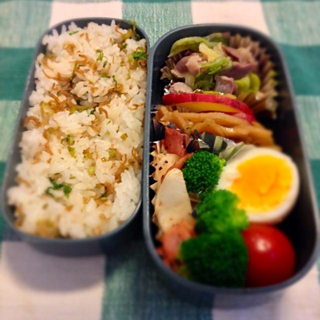 Thursday Jimmy Bento/koko | Snapdish[スナップディッシュ]