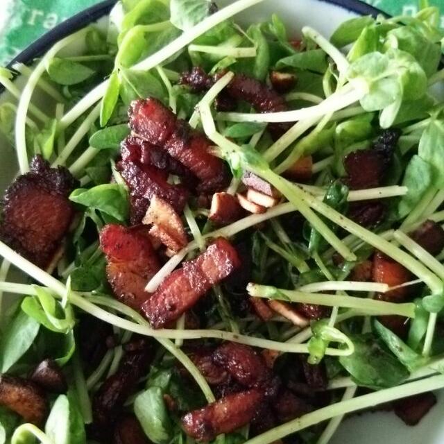 パンチェッタと豆苗のガーリックサラダ/Kenichi Genjidaさんのレシピ | Snapdish[スナップディッシュ]