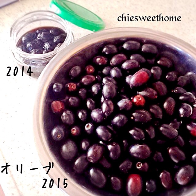 chiekoさんの料理 完熟オリーブの塩漬け/chieko ♪ | Snapdish[スナップディッシュ] (ID:Ouq1Da)