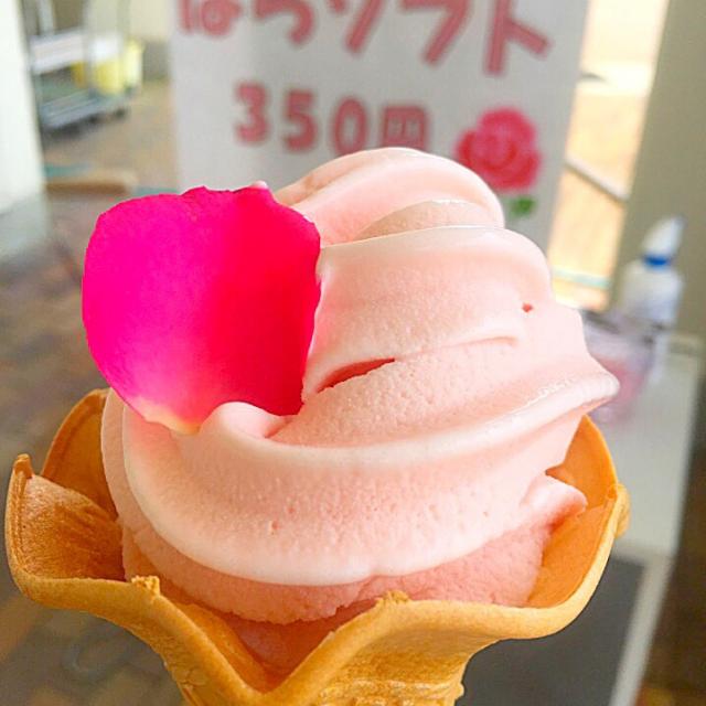 薔薇ソフトクリーム/misachi | Snapdish[スナップディッシュ] (ID:08O1Ga)