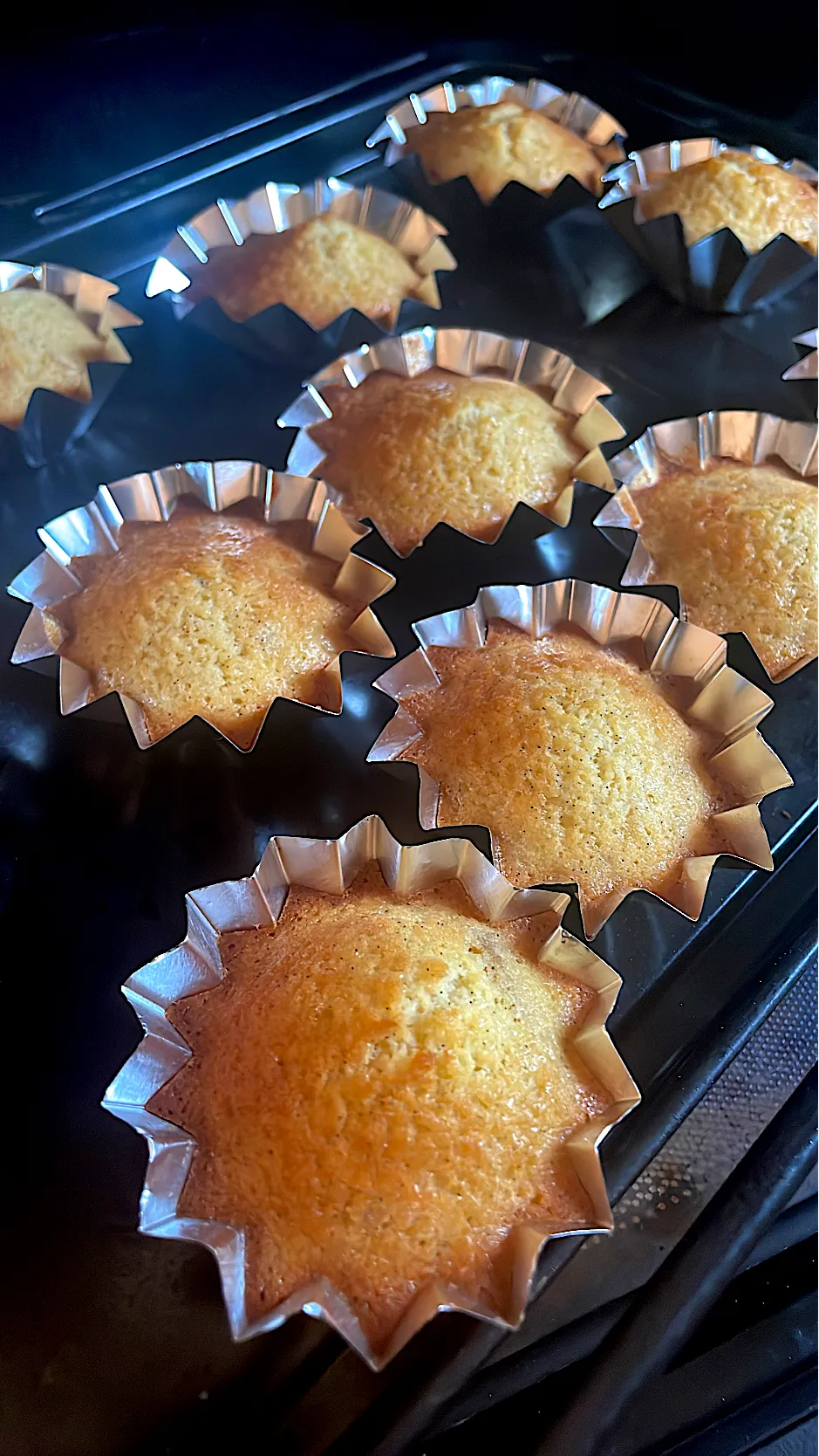 2025年12月29日10時38分の料理写真投稿/桐野 彩 | Snapdish[スナップディッシュ]